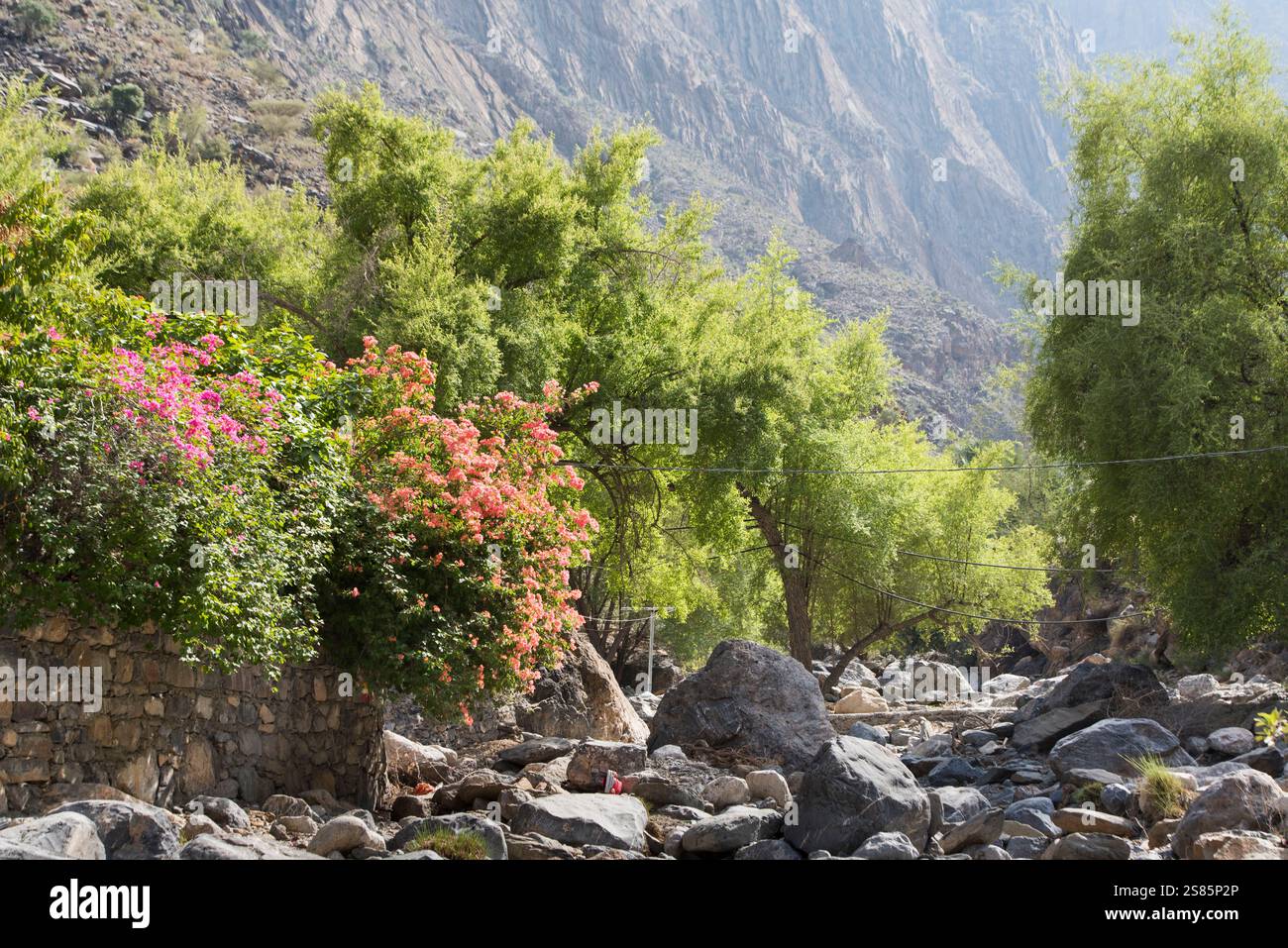 Wadi Bani Awf, North Eastern slope of Jebel Akhdar, Western Hajar ...