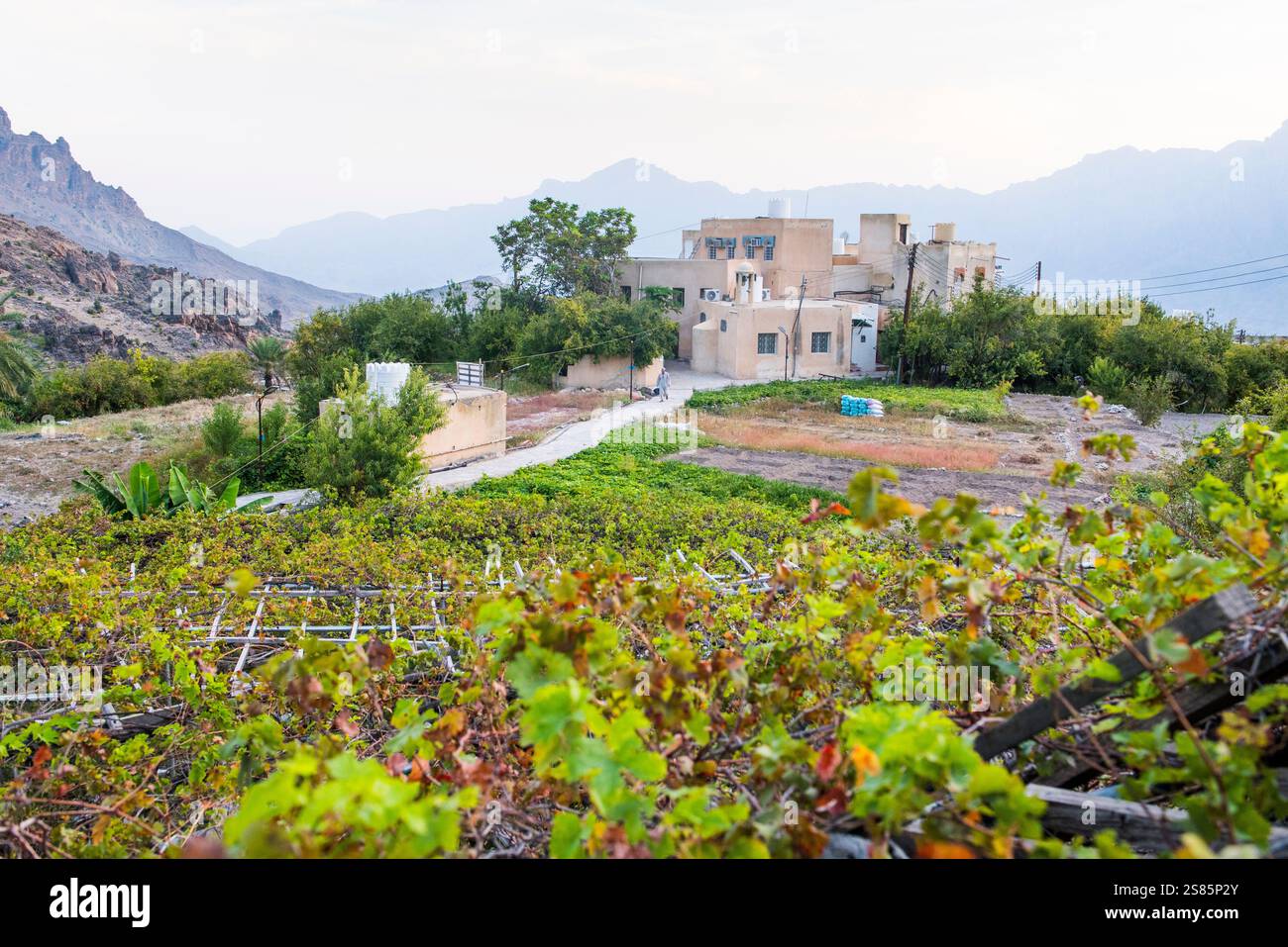 Wakan village, Western Hajar Mountains, border South Batinah ...