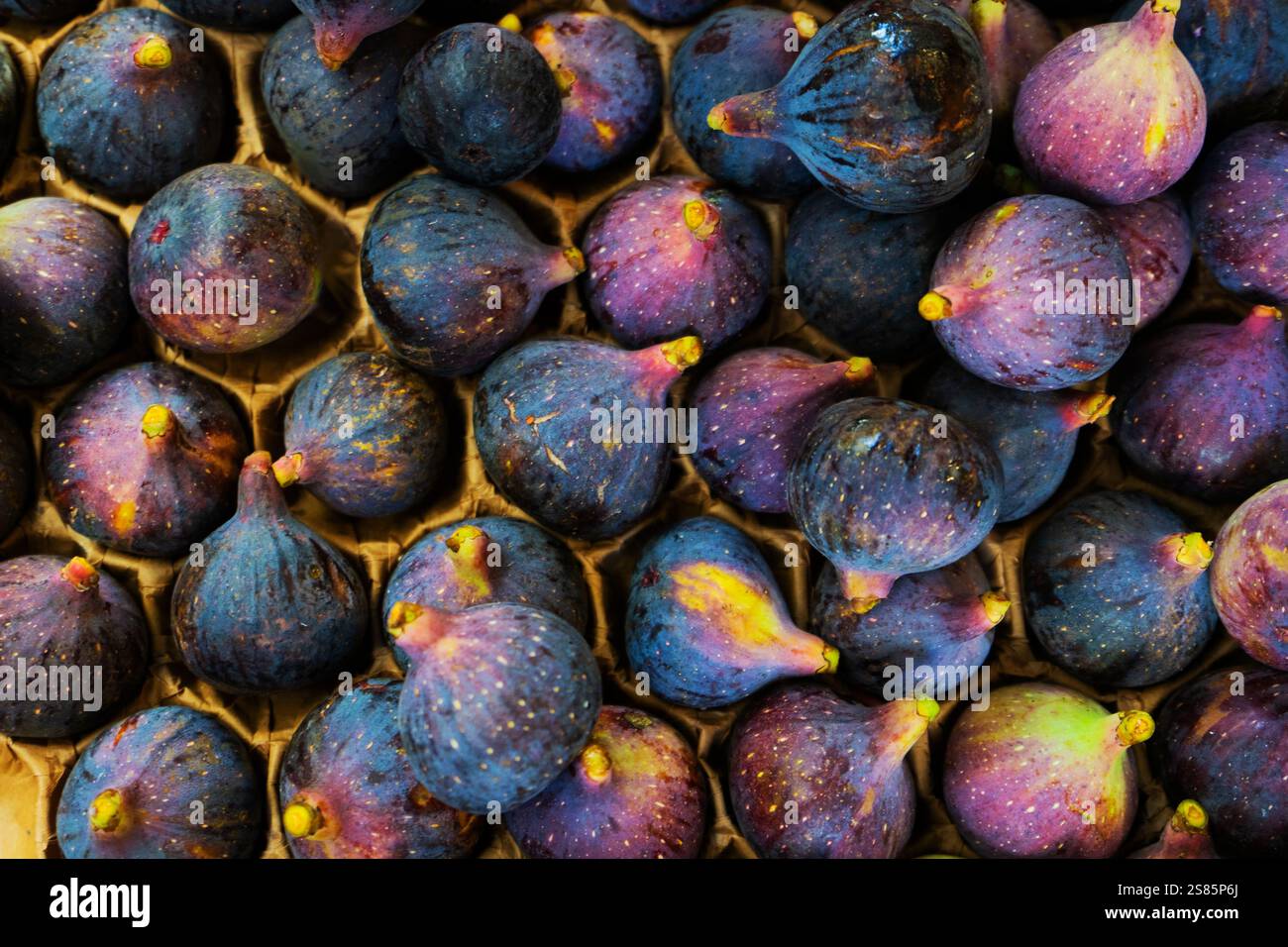 Rich colors of purple hi-res stock photography and images - Alamy