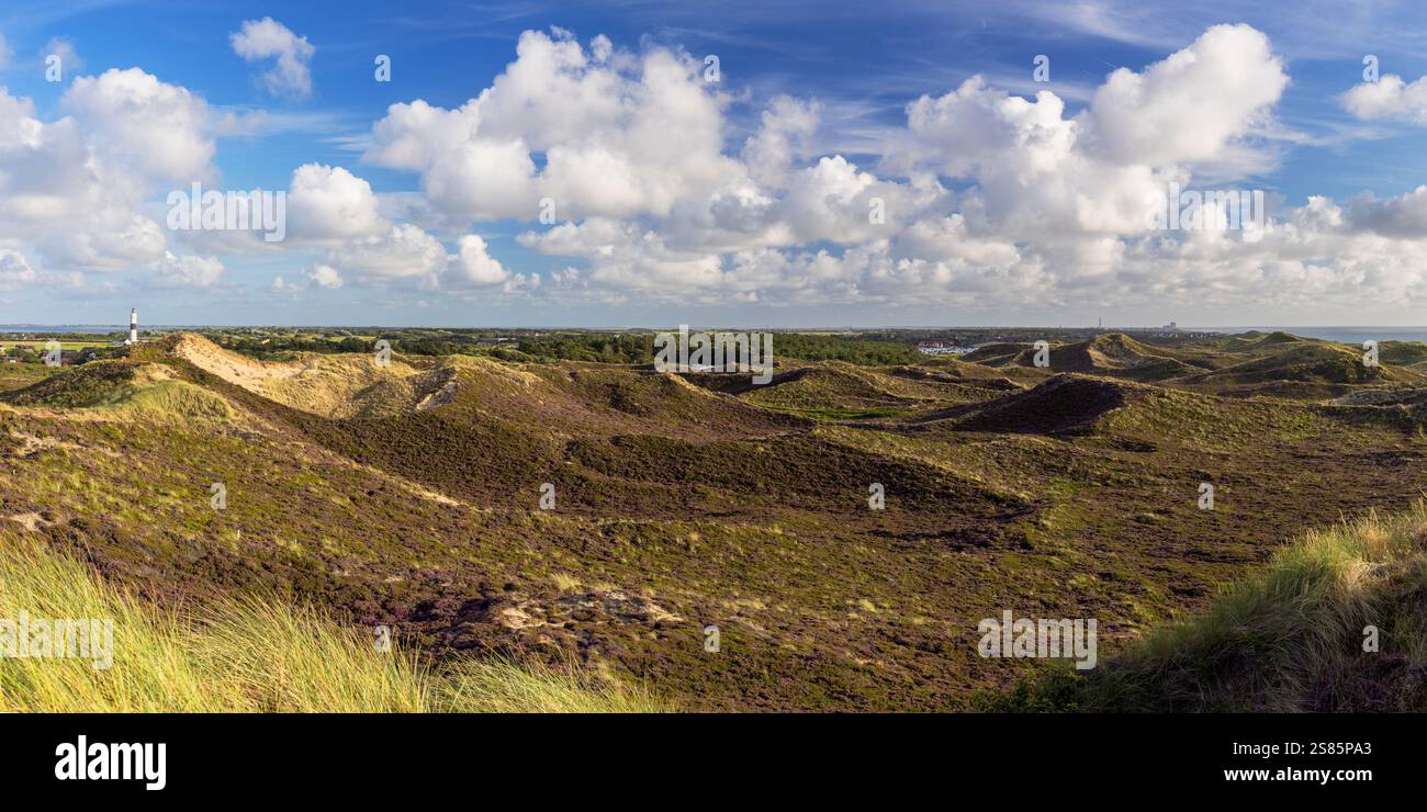 Heather sand hi-res stock photography and images - Alamy