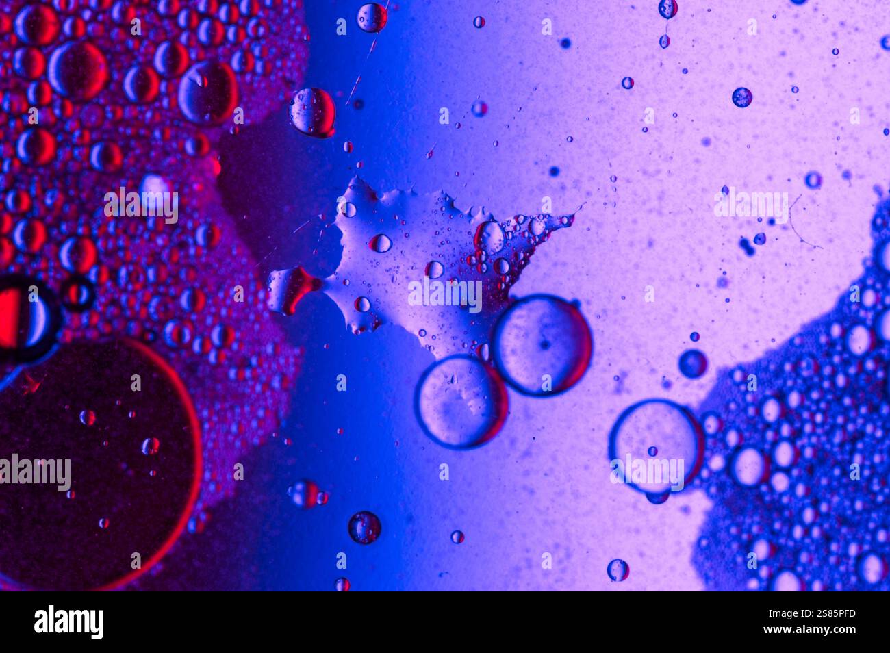 Organic shapes in vibrant blue hi-res stock photography and images - Alamy