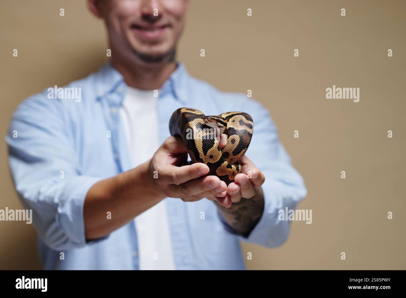 Hands holding ball hi-res stock photography and images - Alamy