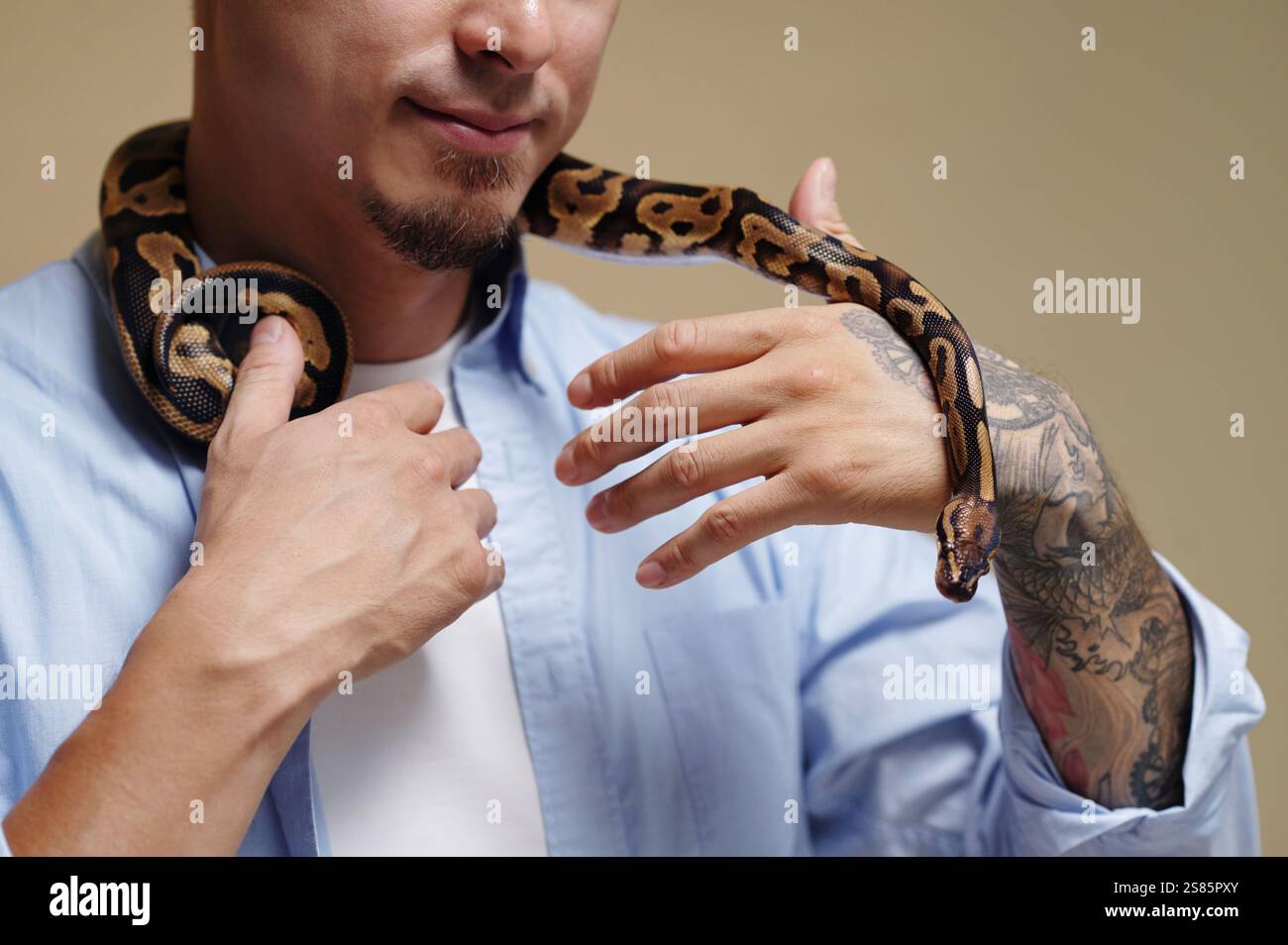 Portrait of Man Holding and Petting a Snake on His Shoulder Stock Photo ...