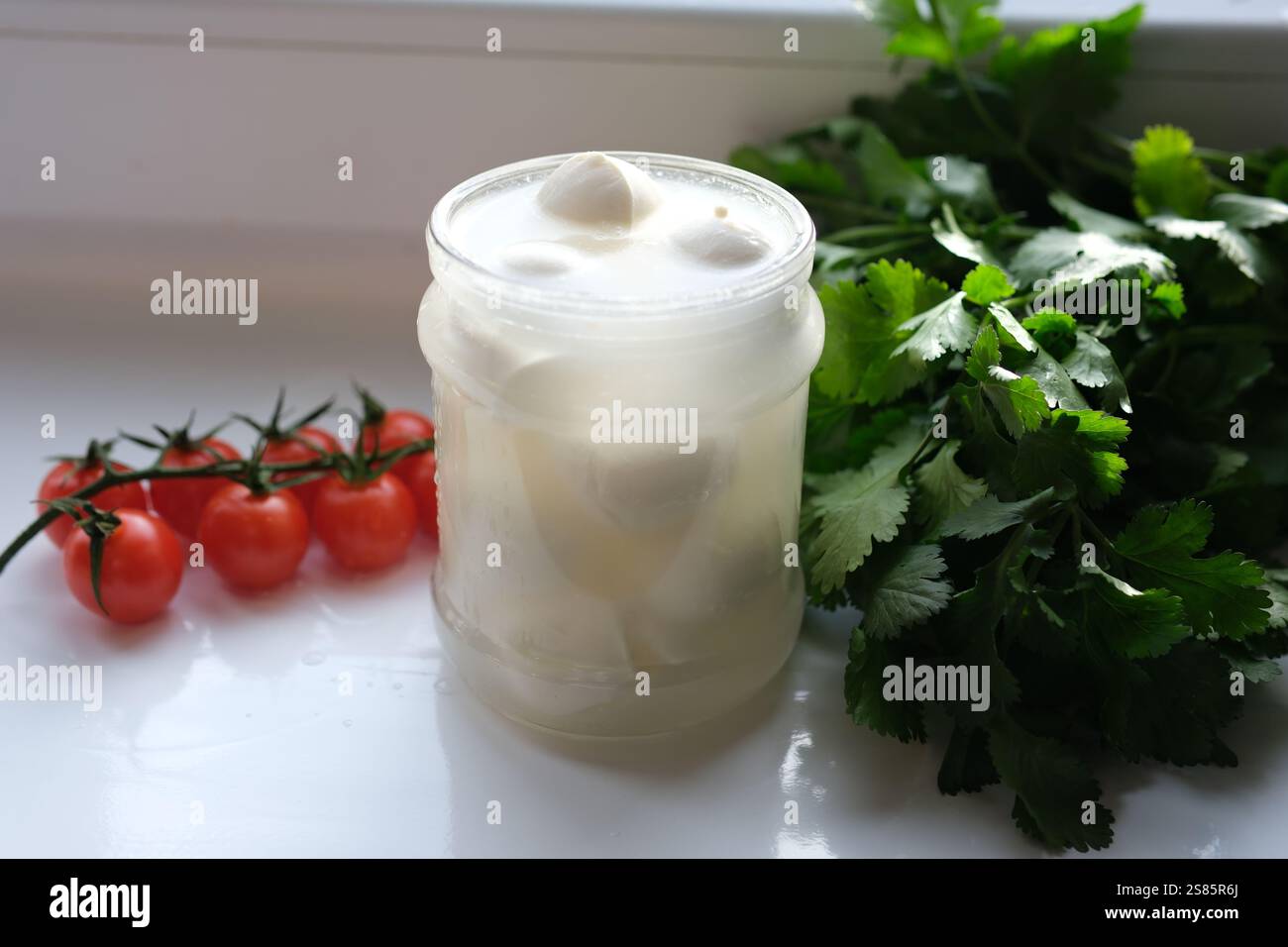 mozzarella cheese falling fresh organic mozzarella buffalo cheese with ...