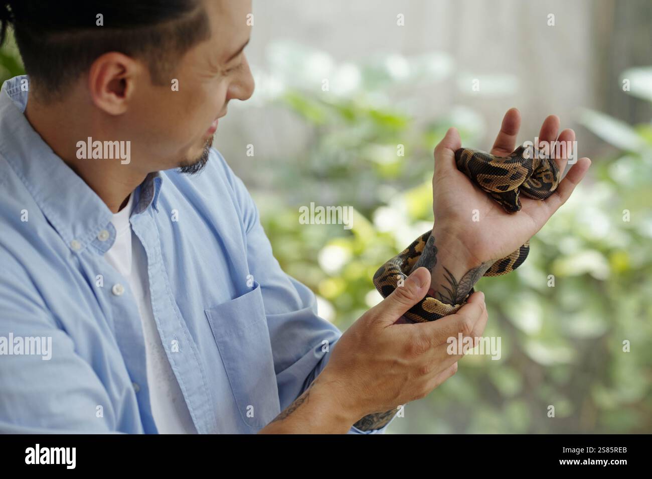 Handling Snake in Outdoor Garden Setting Stock Photo - Alamy
