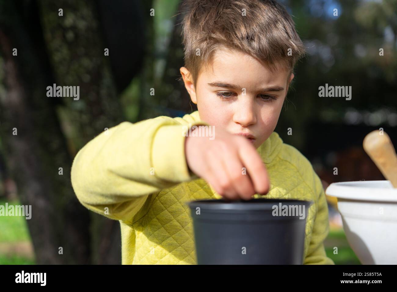 Concentrated child sowing seeds in a pot, learning the basics of ...