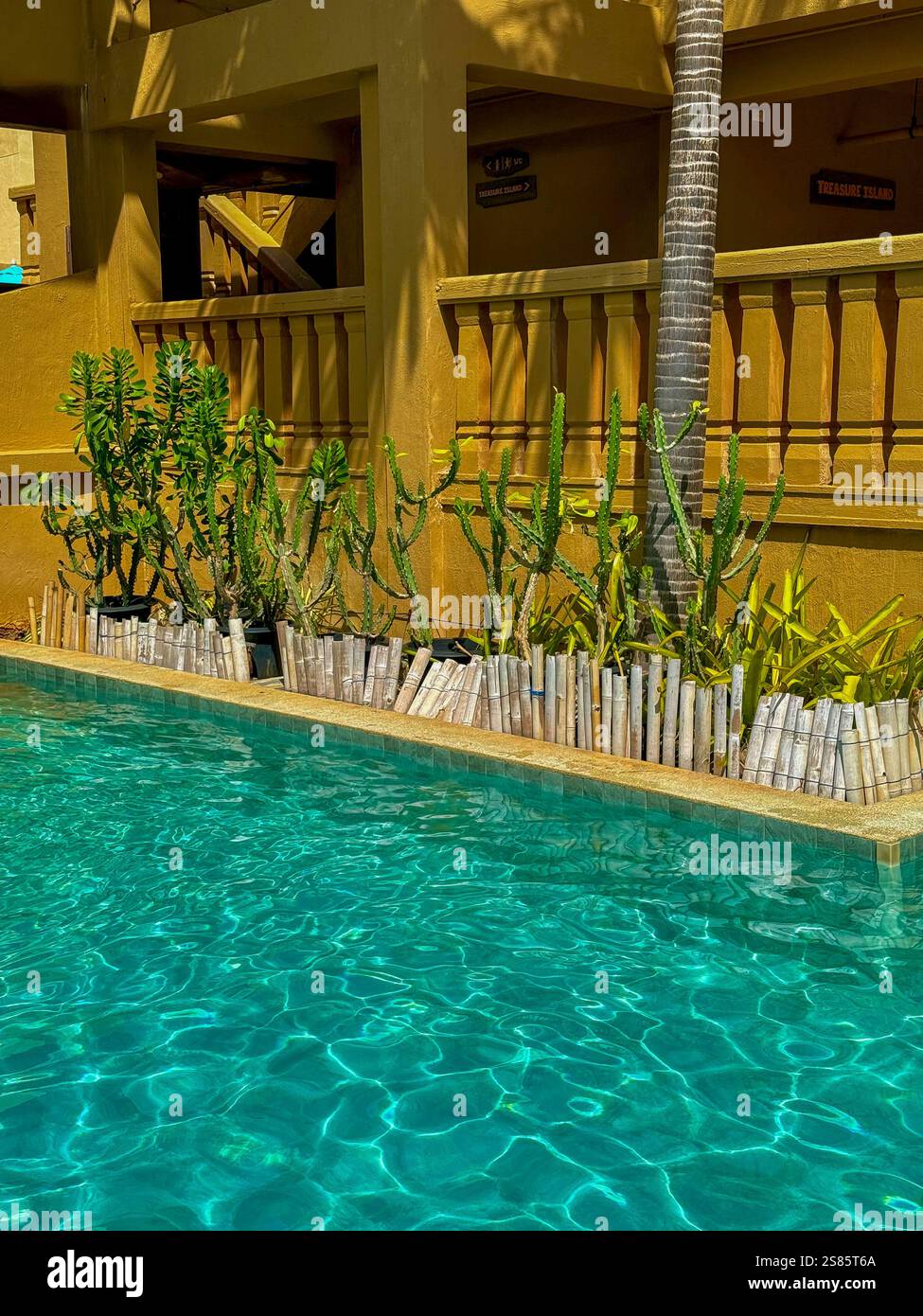 Modern Tropical Pool with Water Fountains and Palm Trees A modern ...