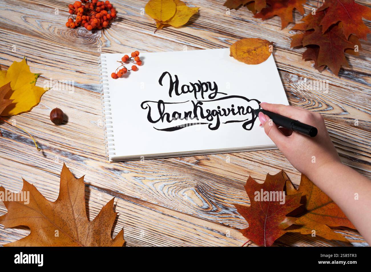 Thanksgiving hand hi-res stock photography and images - Alamy