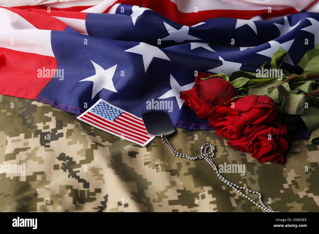 Veterans day. USA army patch, token, American flag, roses and military ...