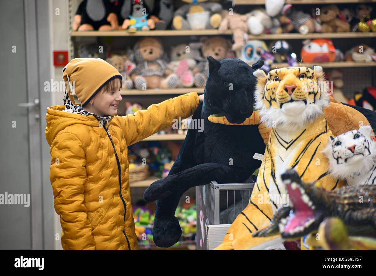 Smiling girl selecting stuffed black panther in toy shop with large ...
