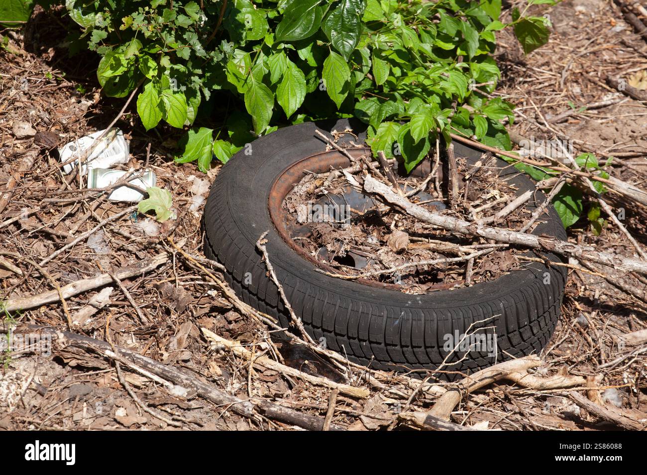 Old discarded car tire, garbage, Germany Stock Photo - Alamy