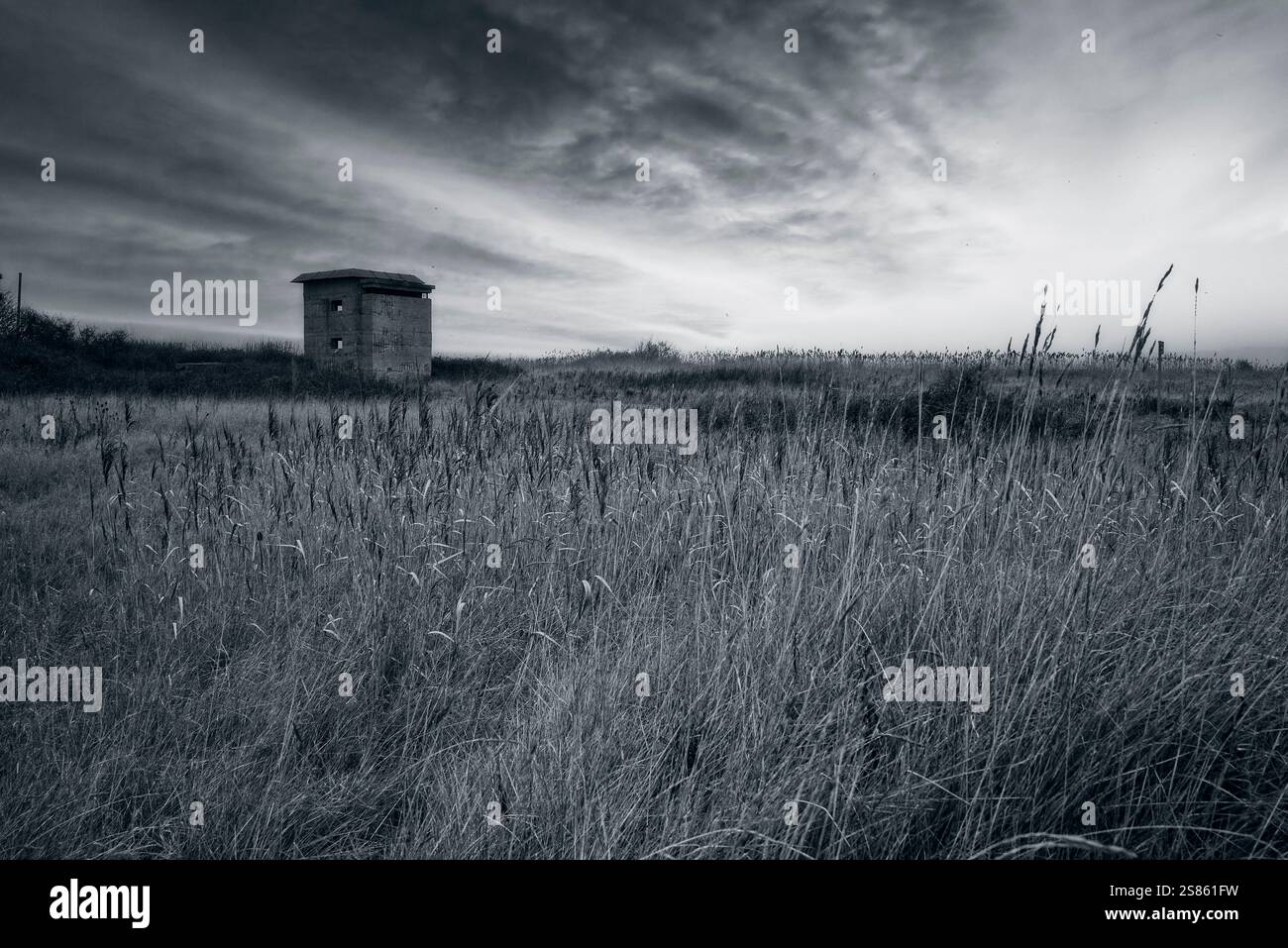 WW2 defence tower on the Suffolk coast Stock Photo - Alamy