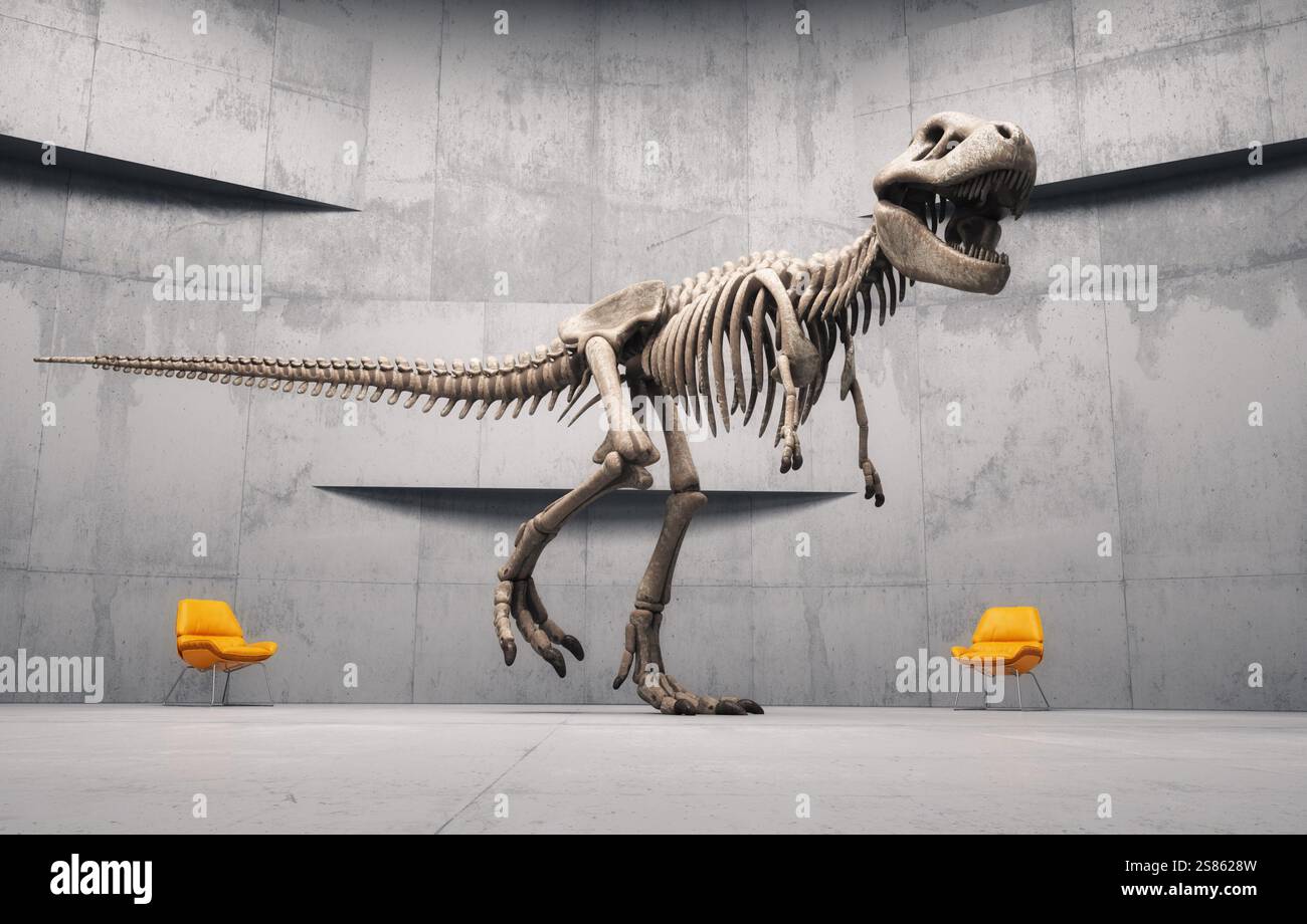 T rex dinosaur skeleton. This is a 3d render illustration Stock Photo ...