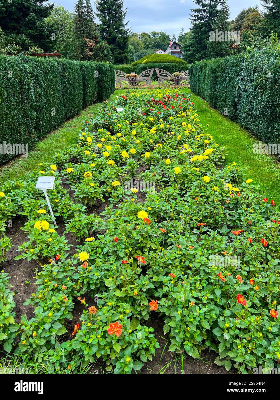 Flowers in the botanic garden Stock Photo - Alamy