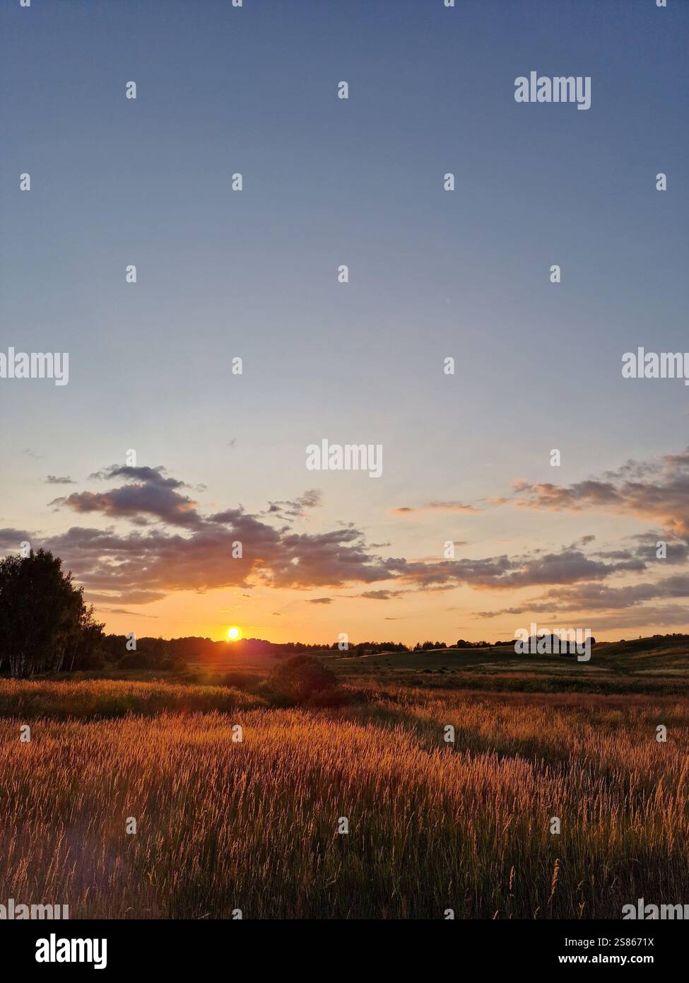 Stunning sunset over a golden field, sun dipping below the horizon ...