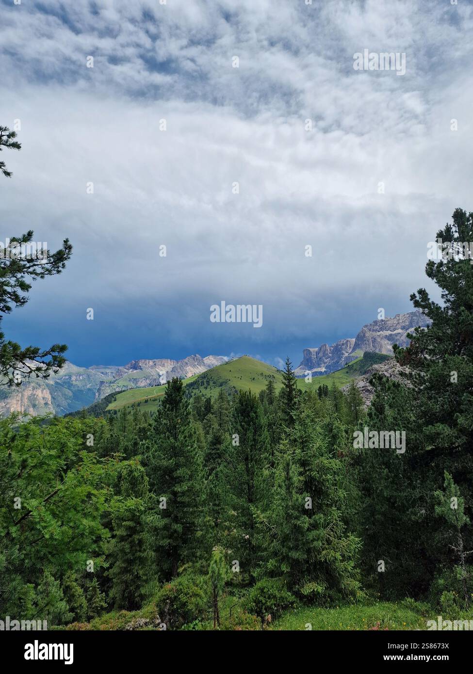 Stunning Italian Dolomites mountain landscape, evergreen trees, rugged ...