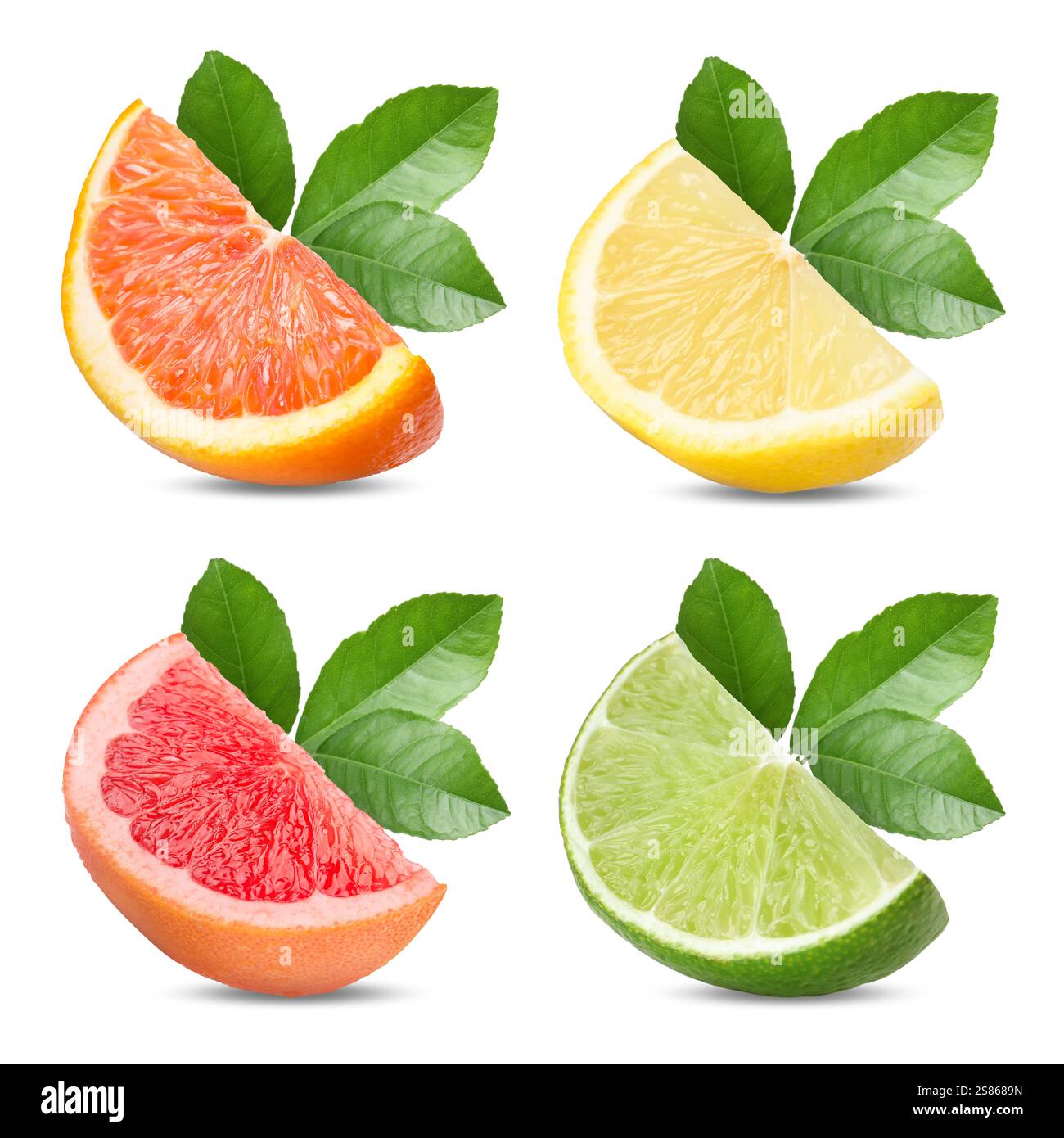 Citrus fruits slices and plant branches isolated on white, set Stock Photo - Alamy