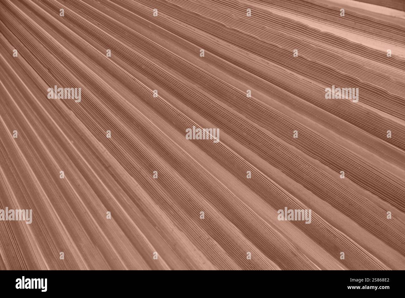 Mocha mousse textured background, closeup. Color of 2025 year Stock ...