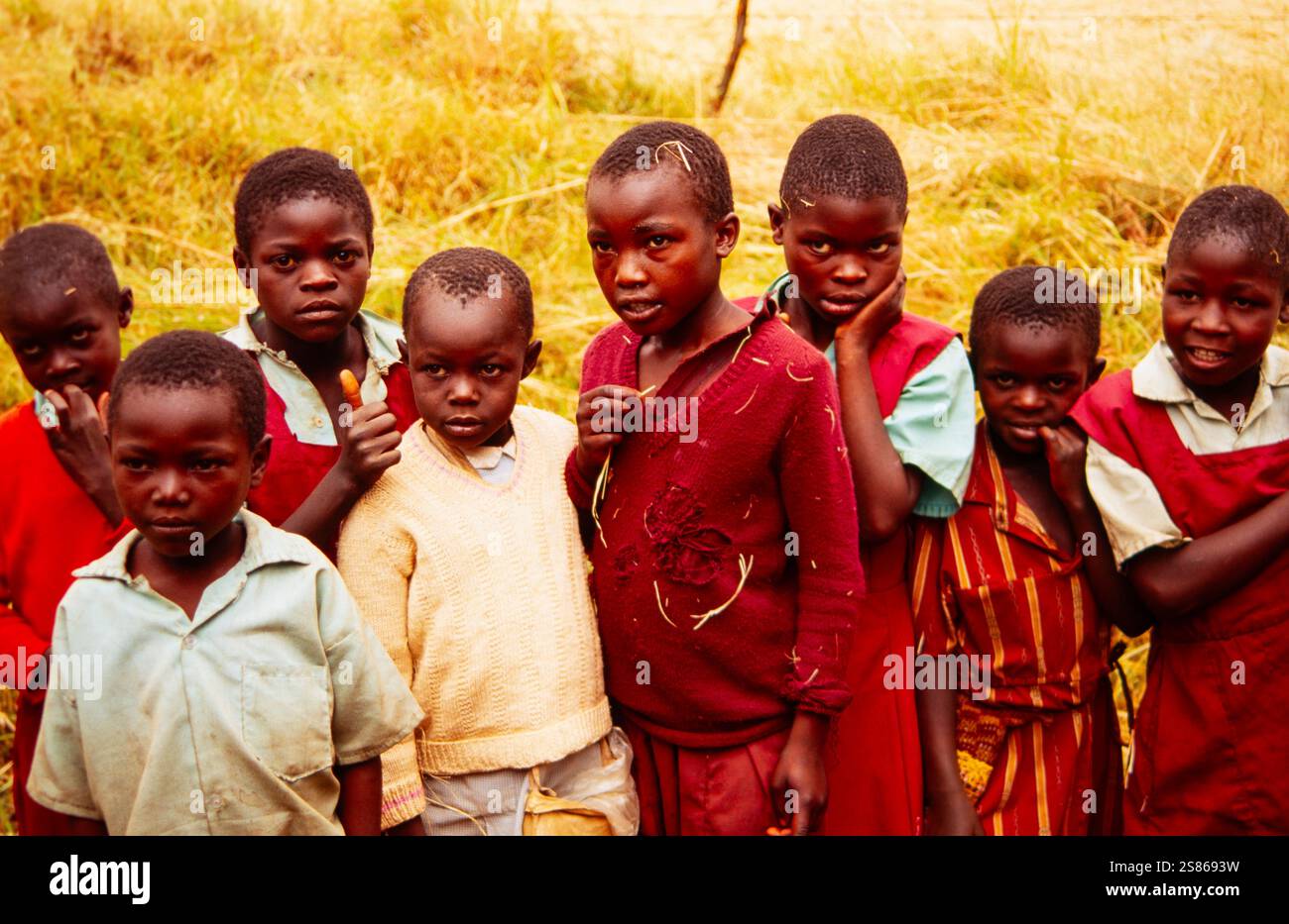 School children in Kenya Stock Photo - Alamy