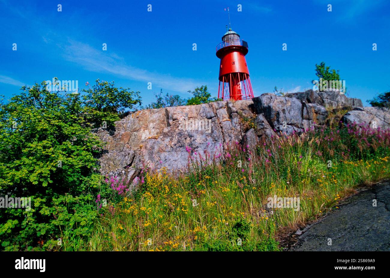Svenska blommor hi-res stock photography and images - Alamy