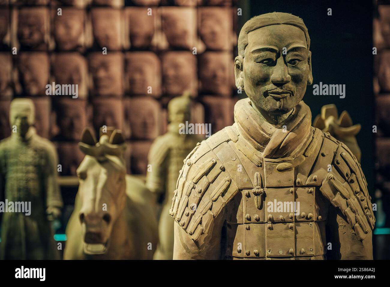 Terracotta soldier at Shaanxi History Museum in Xian, China Stock Photo ...