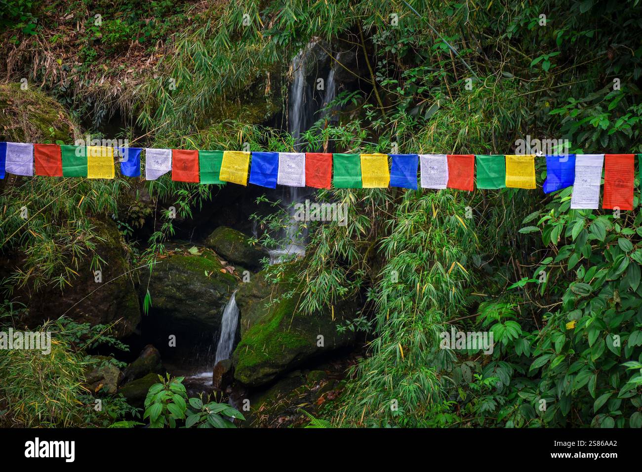 Buddhist prayer flag , Himalayan stream and Green bamboo Stock Photo ...