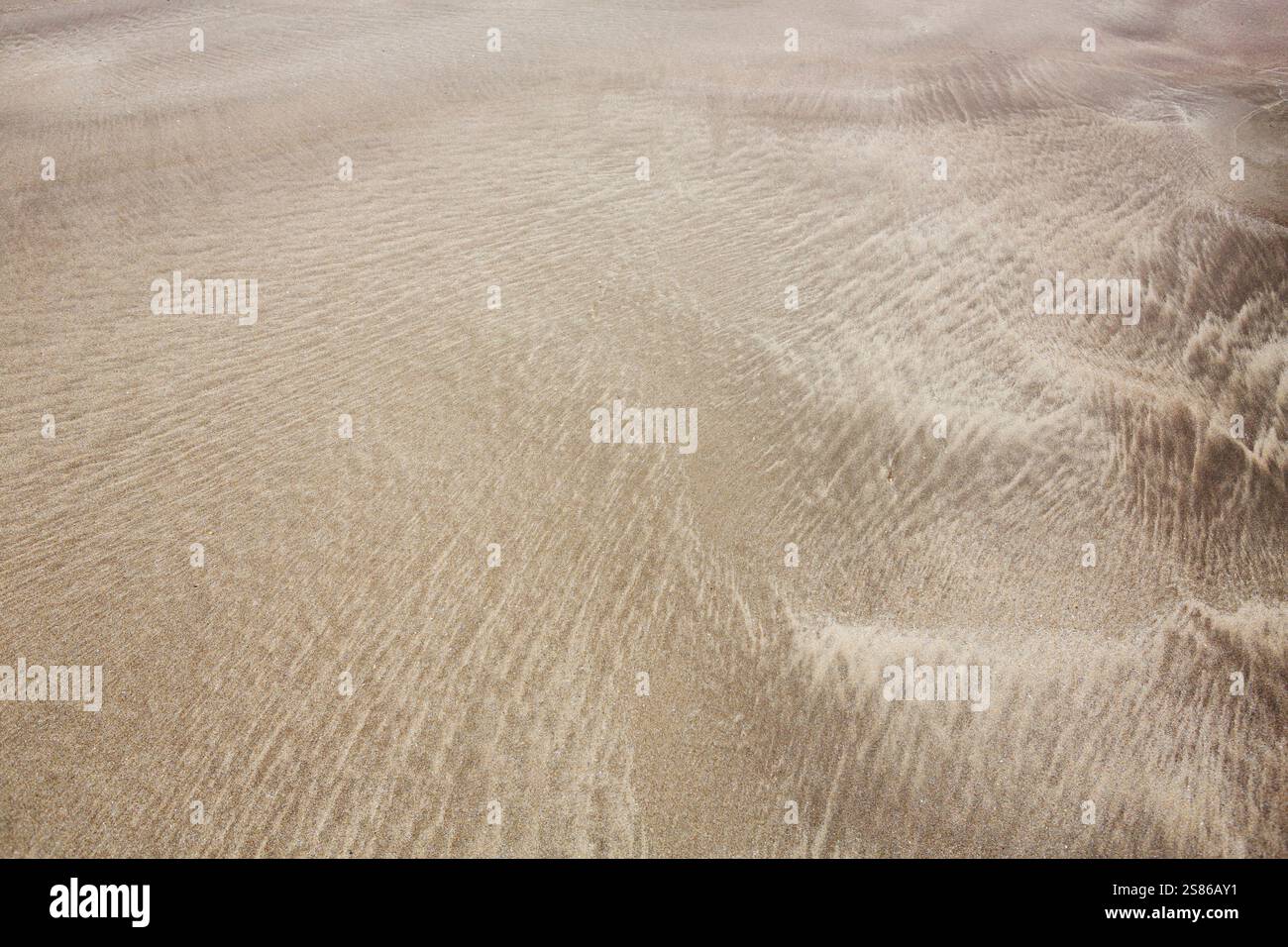 Patterns made in the sand on a beach by the action adn flow of the sea ...