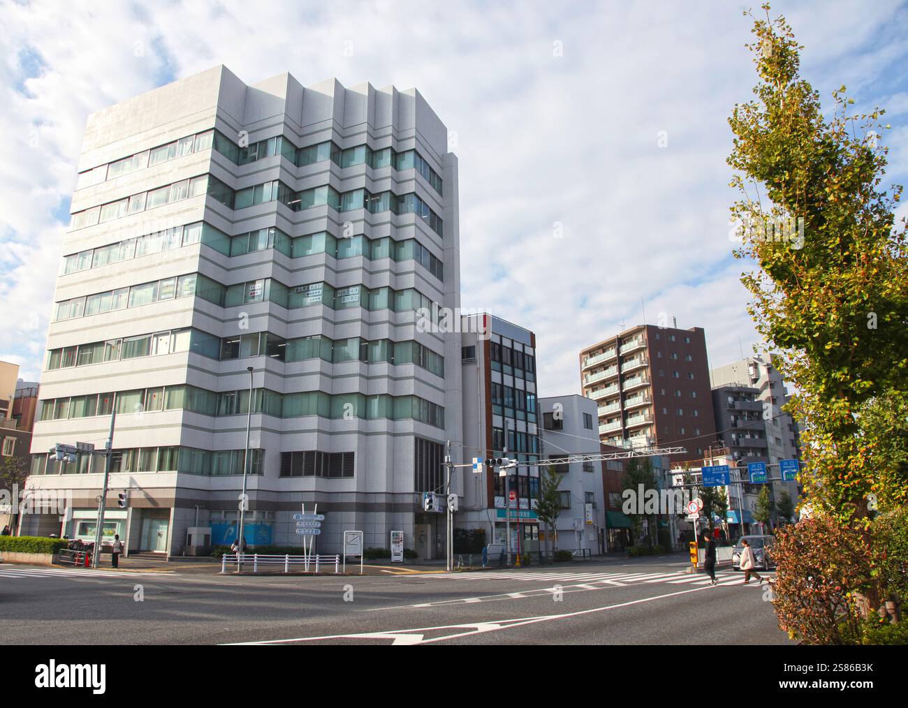 Streets and buildings and a pedestrian crossing in Akabane ...