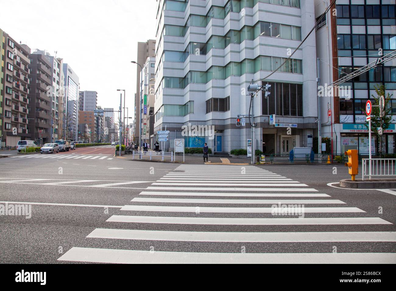 Streets and buildings and a pedestrian crossing in Akabane ...