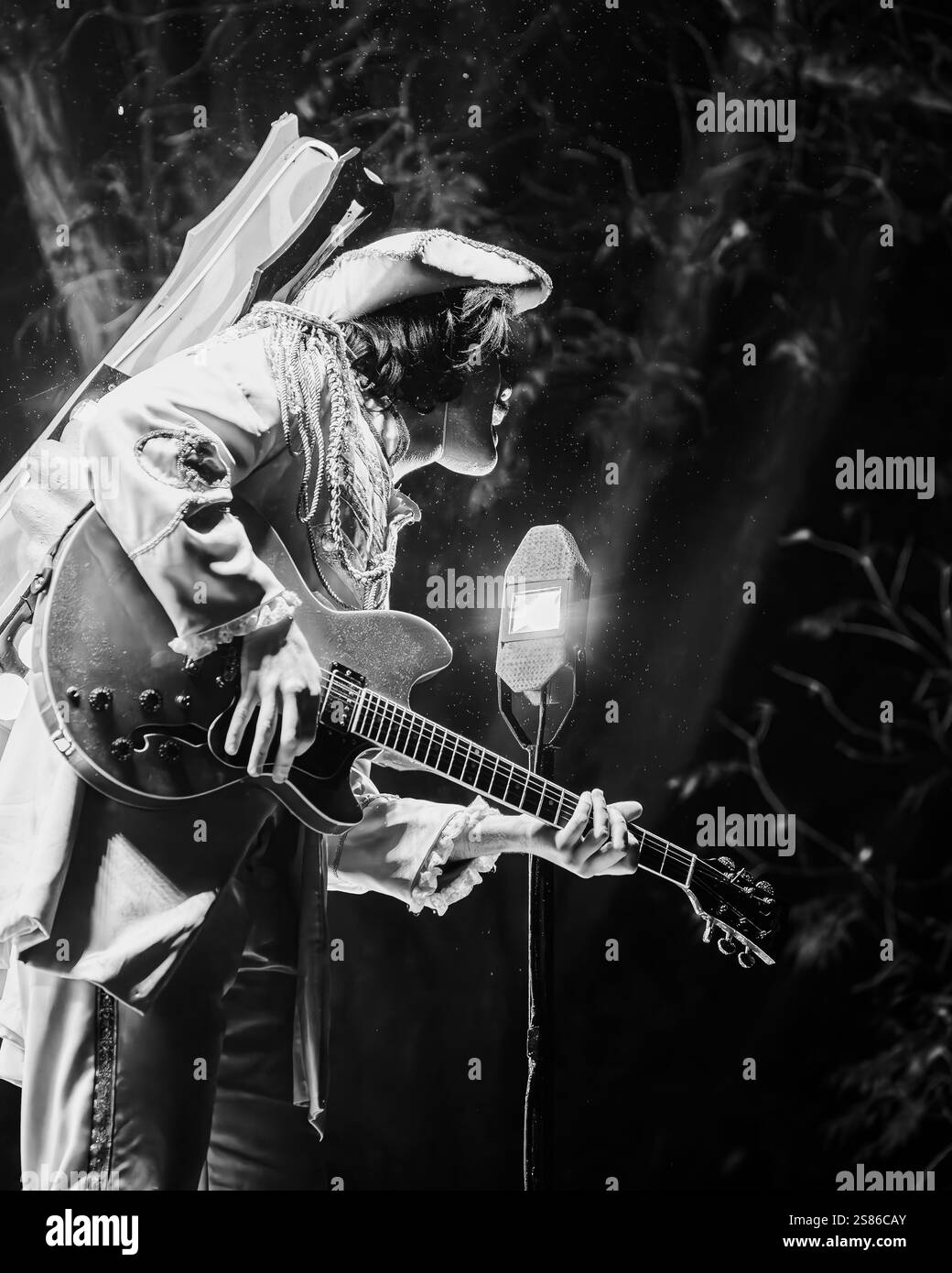 Glastonbury Carnival Beatles Tribute Band George Harrison playing a ...