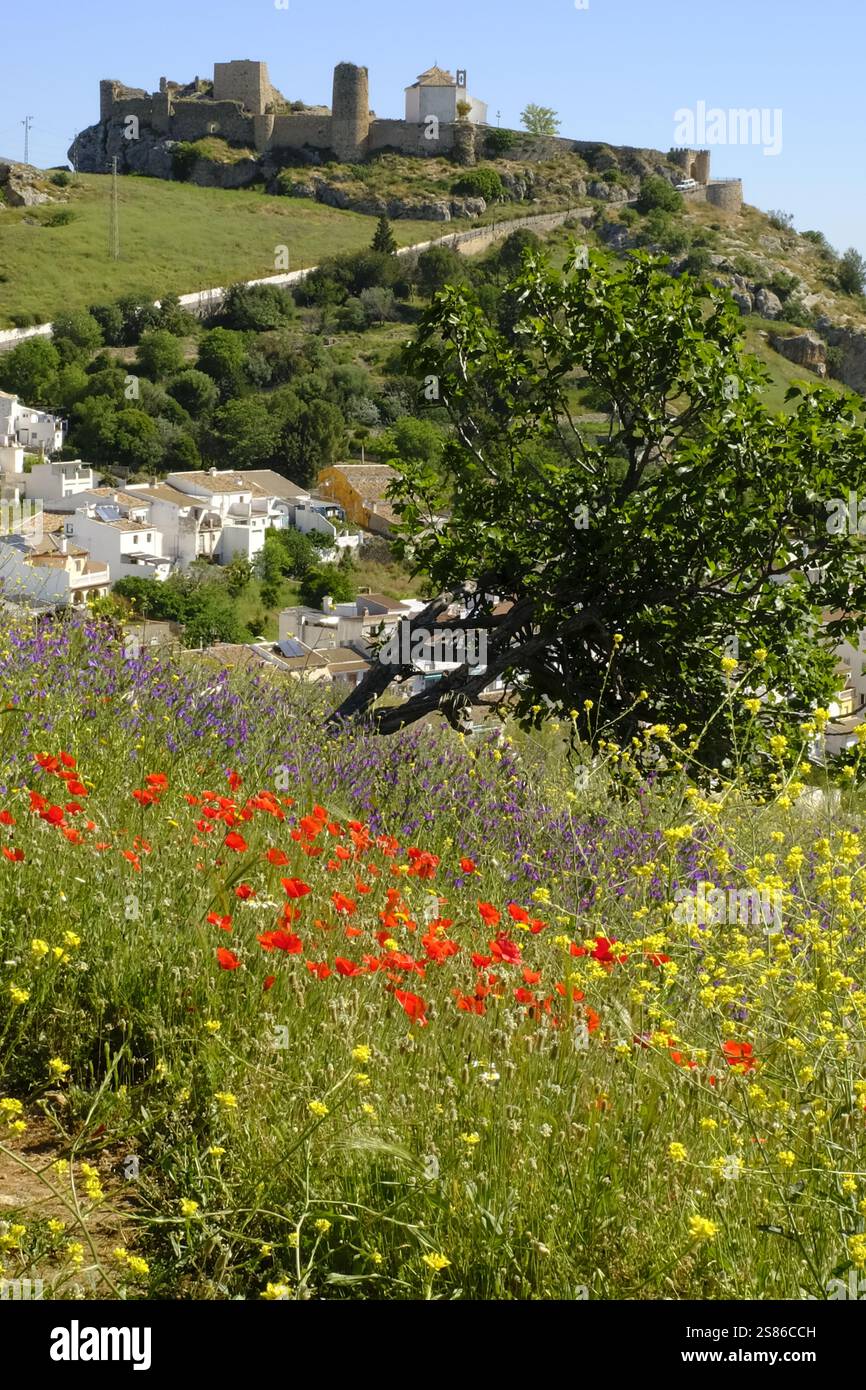 Wild poppies in countryside hi-res stock photography and images - Alamy