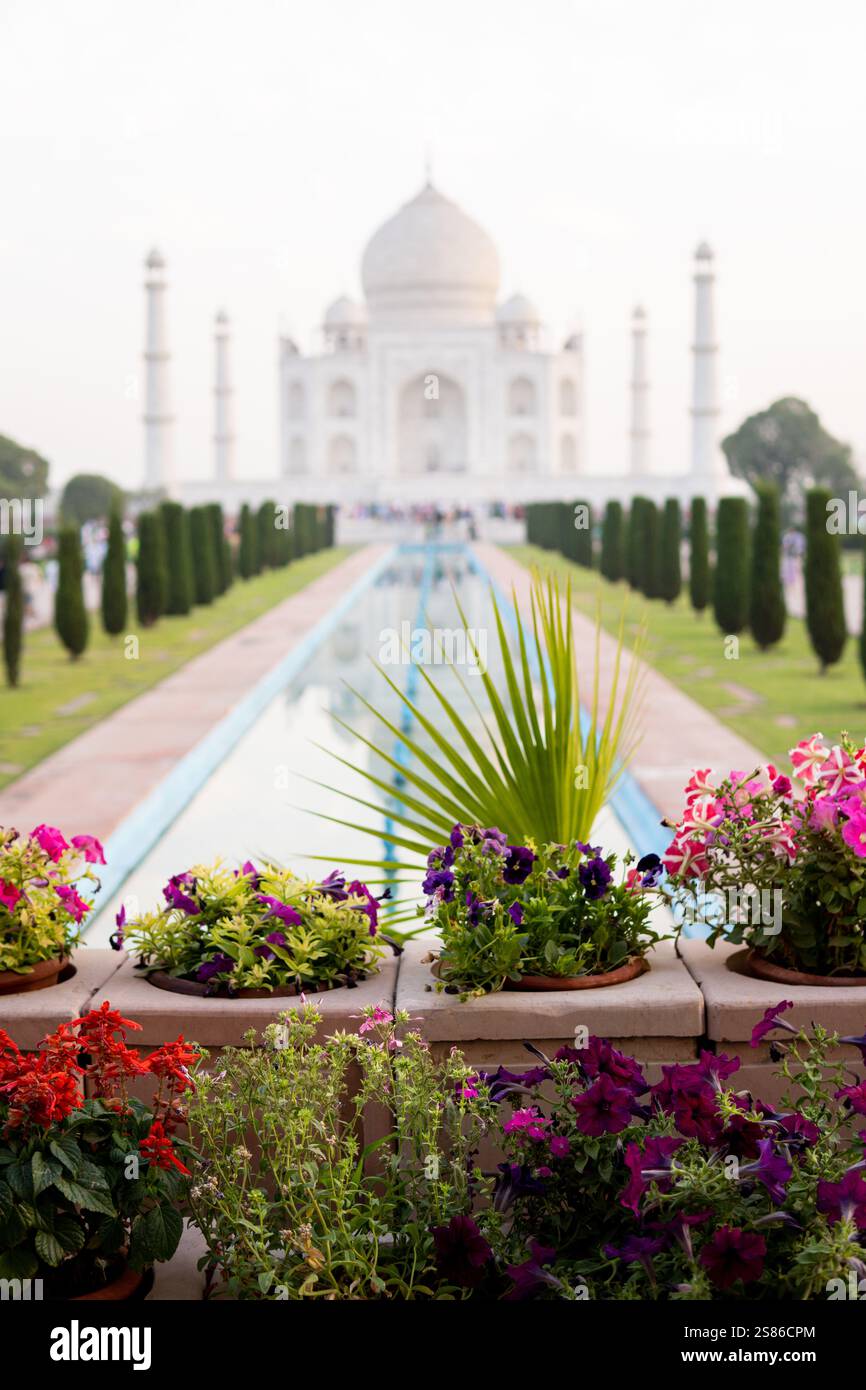 Postcard view over the ivory-white marble mausoleum Taj Mahal in Agra ...