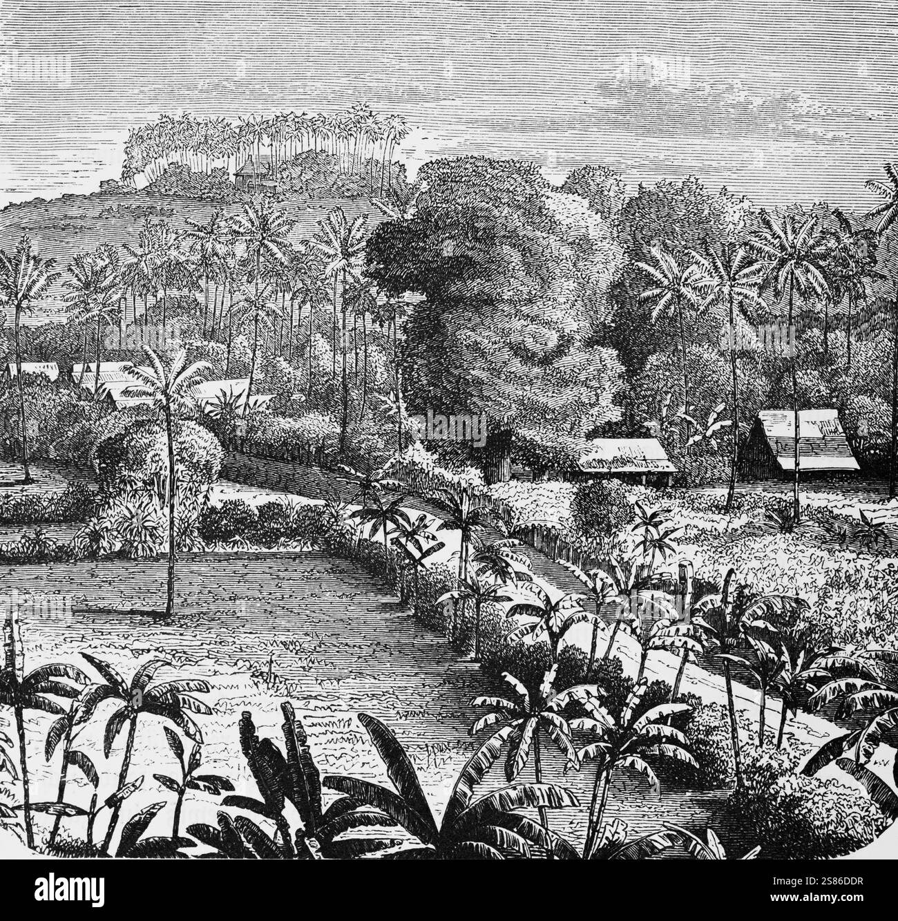 Landscape on the Indonesian island of Java with lush tropical ...