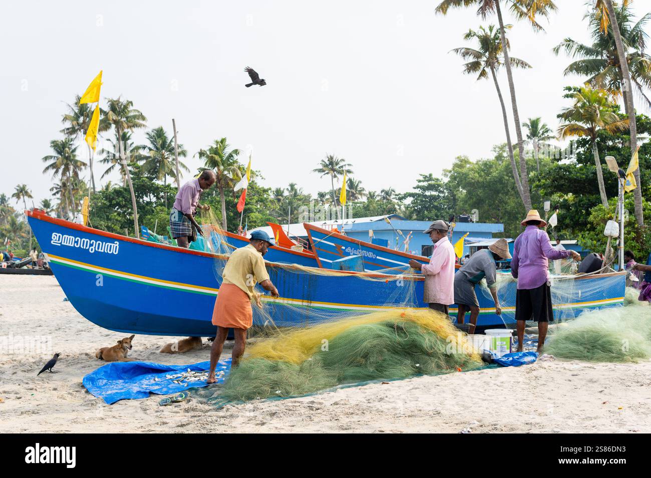 KERALA, INDIA - APRIL 18, 2024: Indian fishermen c;leaning fishing nets ...