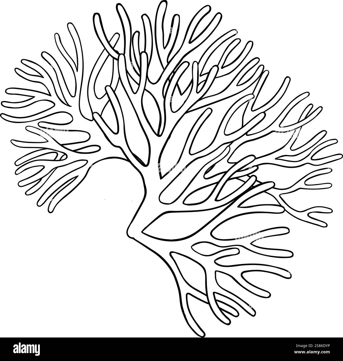 Sea Moss Plant Outline Illustration Stock Vector Image & Art - Alamy