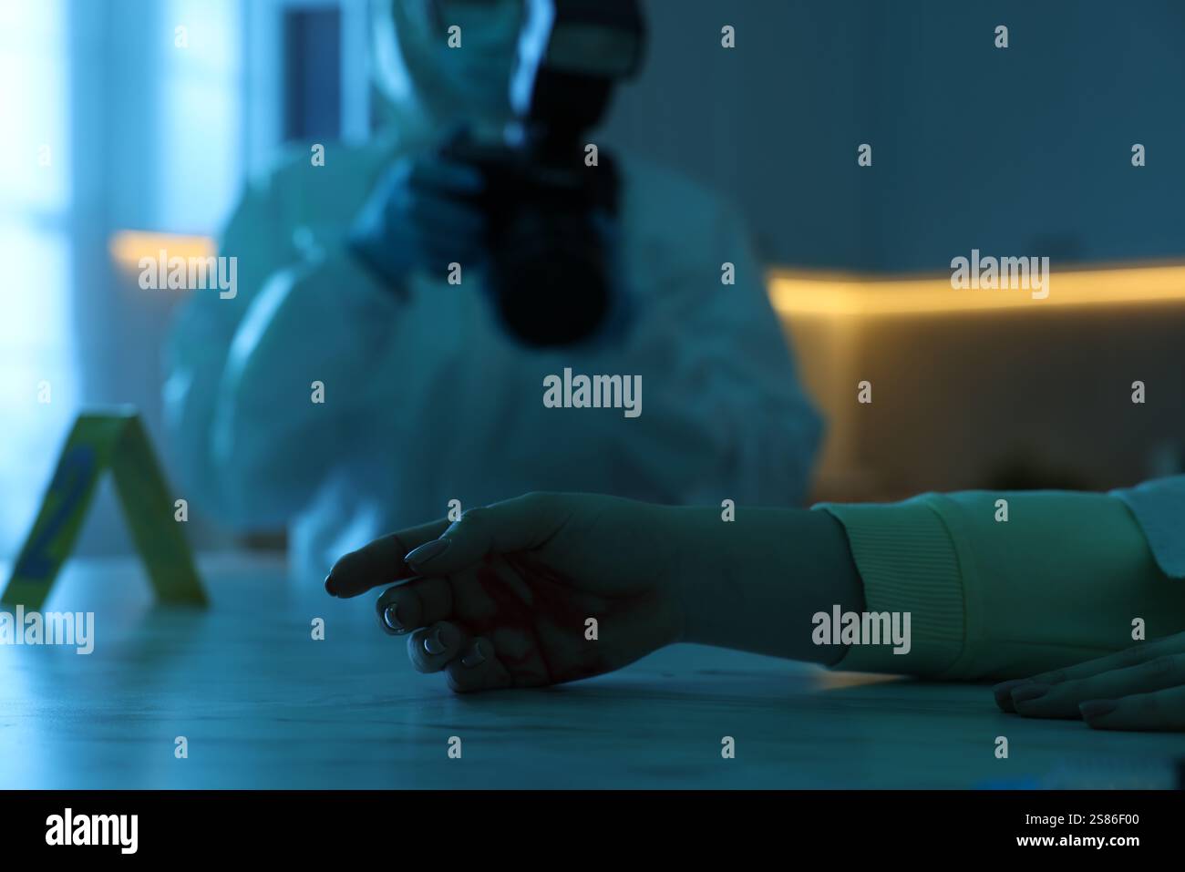 Forensic expert with camera working at crime scene and dead woman's ...