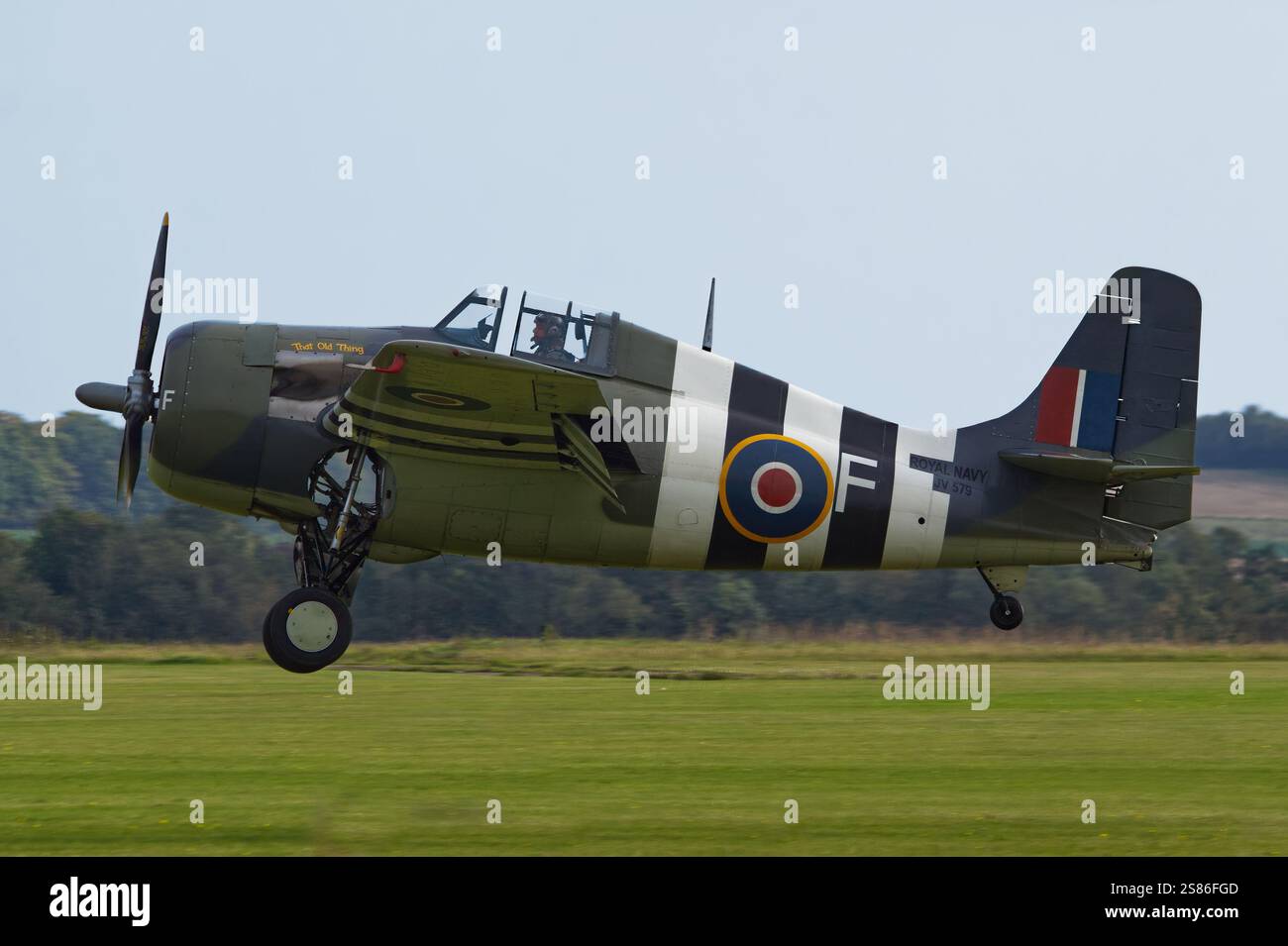 RAF Grumman FM-2 Wildcat in flight but landing Stock Photo - Alamy