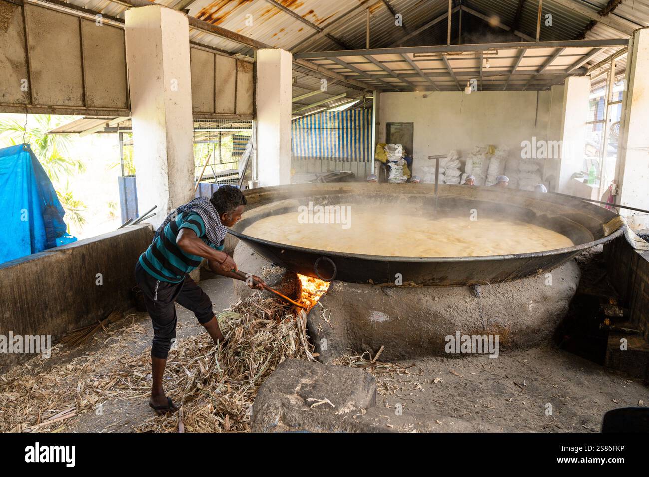MARAYOOR, INDIA - MAY 2, 2024: Indian men working in jaggery cane sugar traditional processing ...
