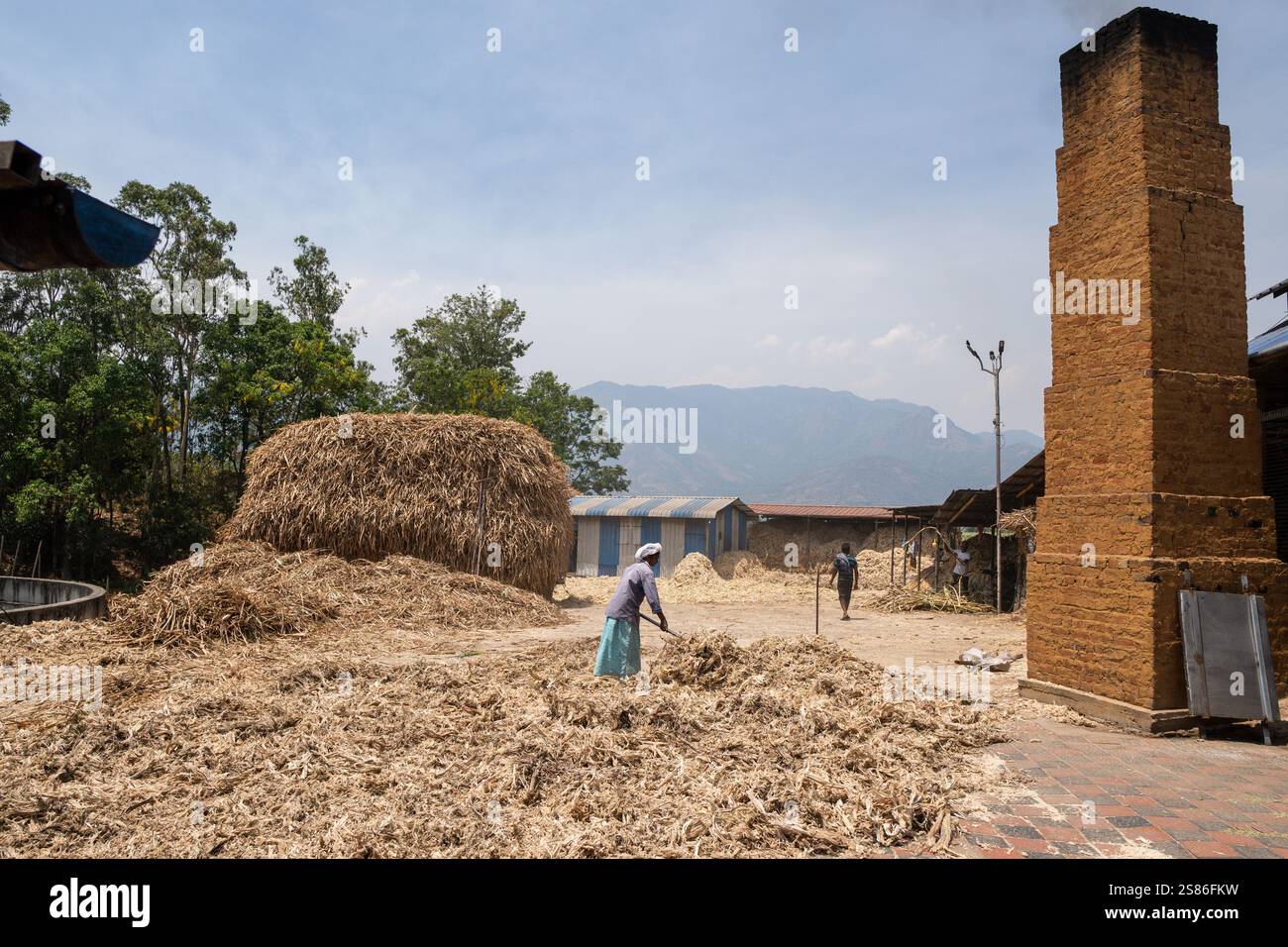 MARAYOOR, INDIA - MAY 2, 2024: Indian men working in jaggery cane sugar traditional processing ...