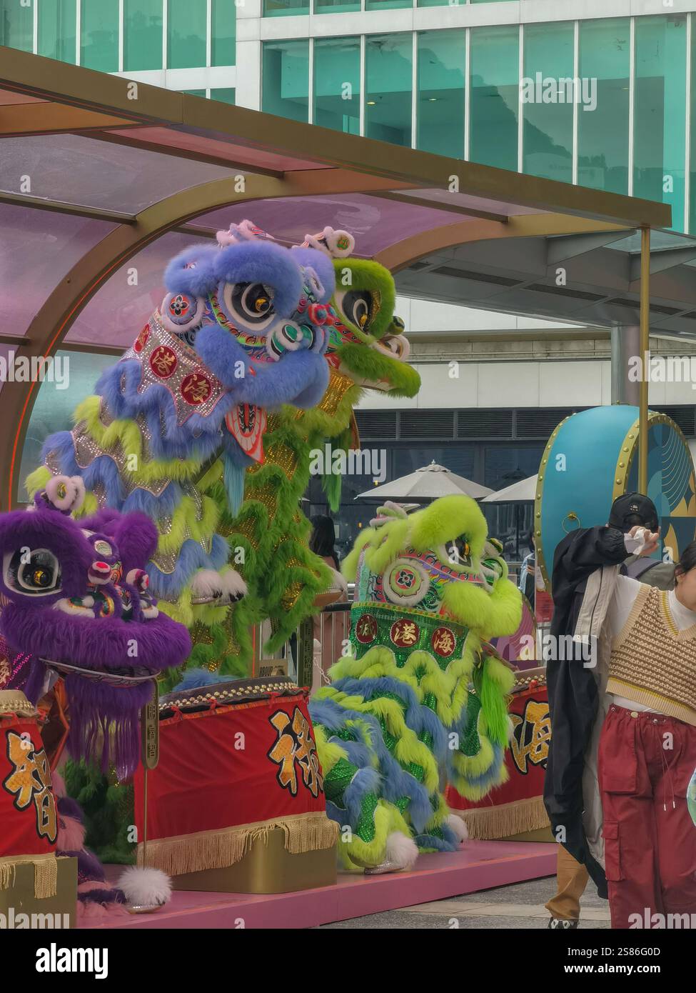 HongKong, China - January 21, 2025 : Vibrant lion dancers in a Harbour ...