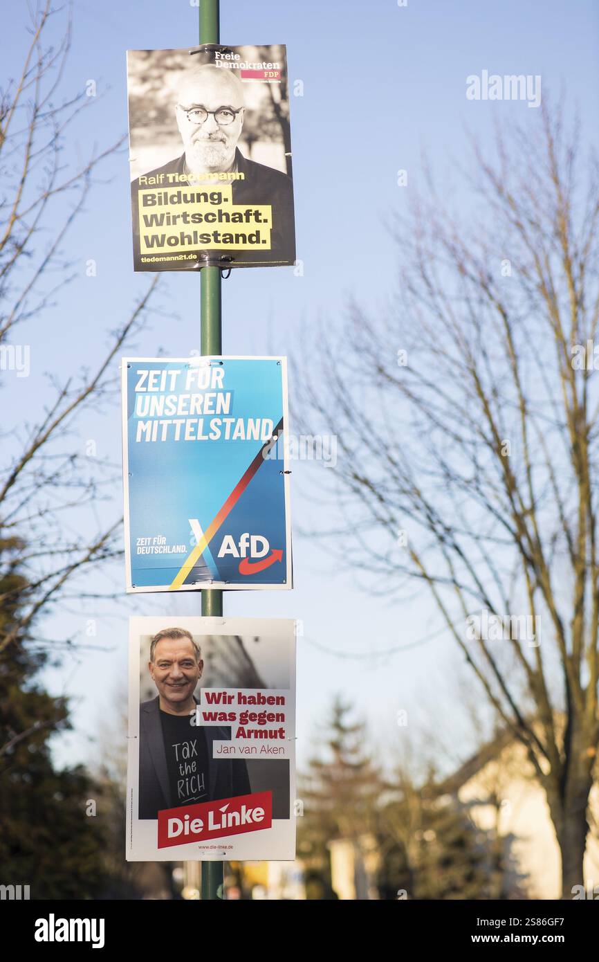 Election posters of the parties FDP, AfD and Die Linke for the early ...