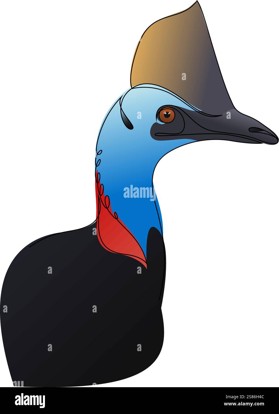 Cassowary head color vector illustration. Big Australian bird isolated ...