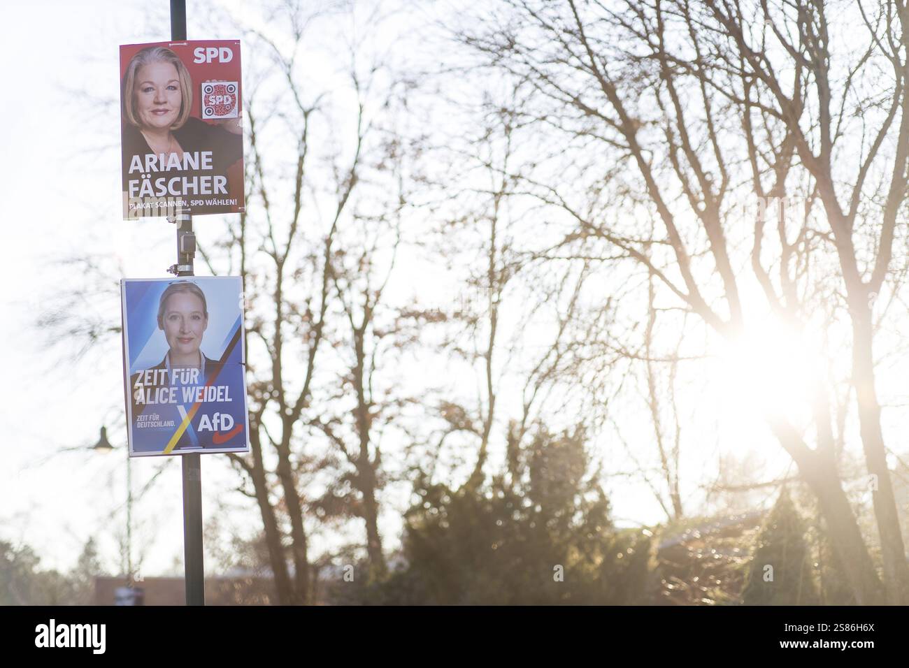 Election posters of the SPD (Ariane Faescher) and AfD (Alice Weidel ... Election posters of the SPD (Ariane Faescher) and AfD (Alice Weidel ...