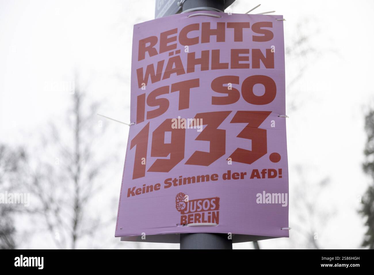Berlin, Germany - 18 January 2025: Election poster for the Bundestag ...