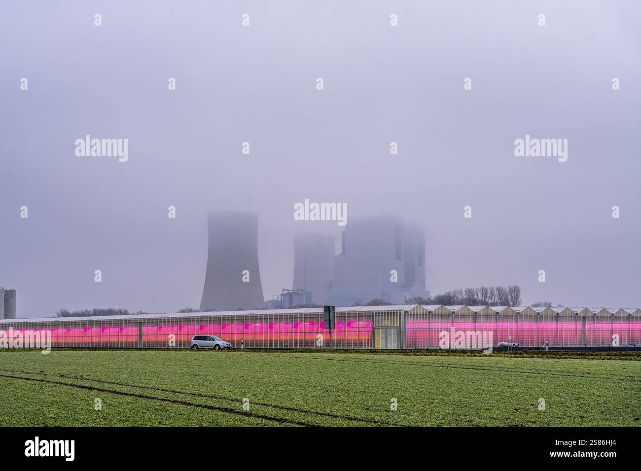 Neurath lignite-fired power plant, operated by RWE in the Rhenish ...