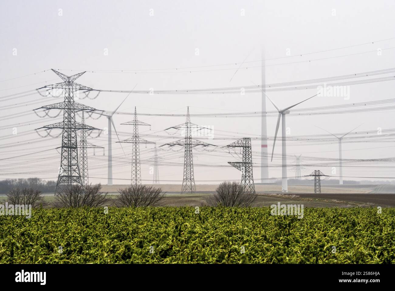 Wind farm in the fog, high-voltage pylons, dark doldrums, no wind no ...