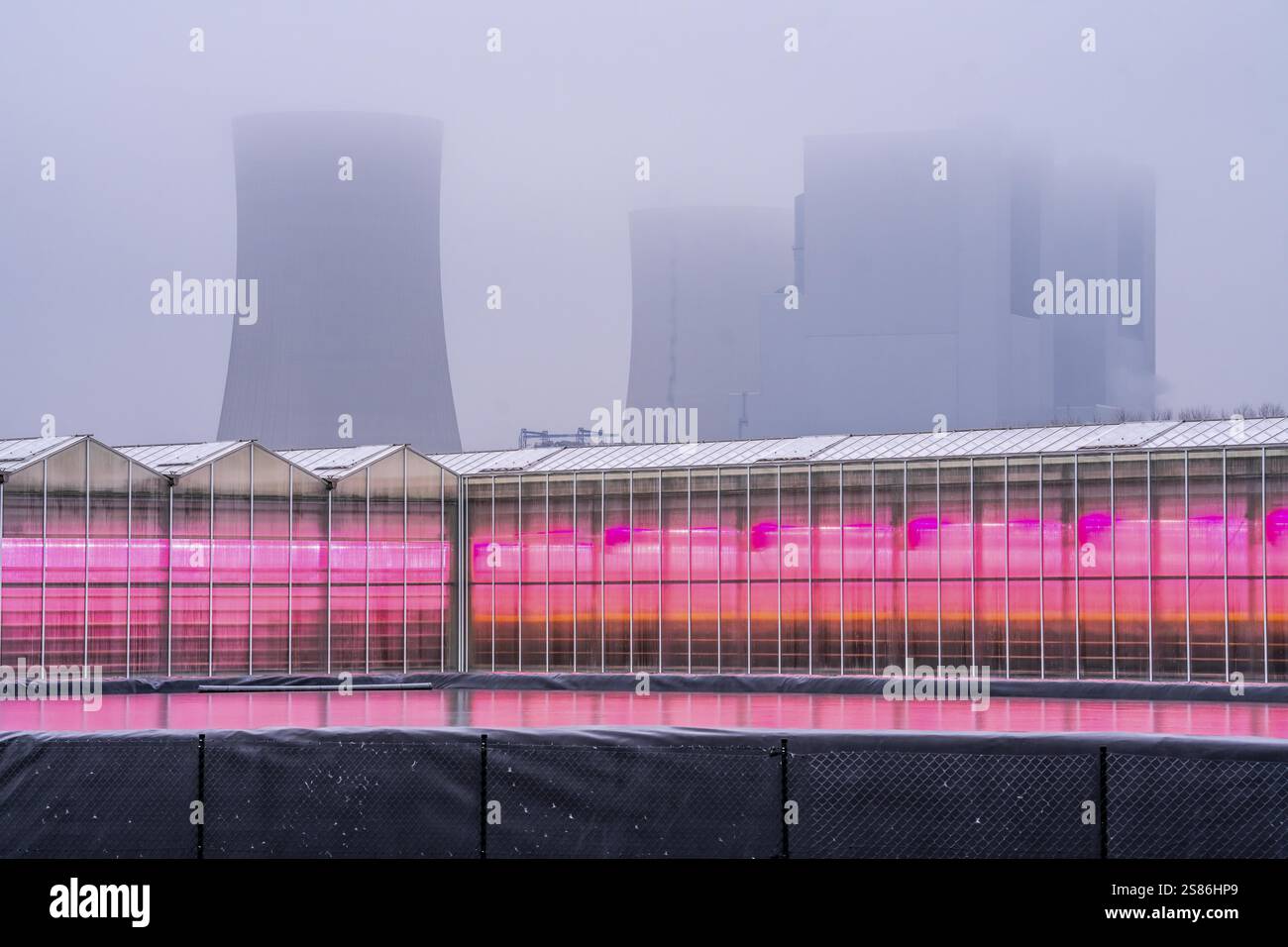 Neurath lignite-fired power plant, operated by RWE in the Rhenish ...