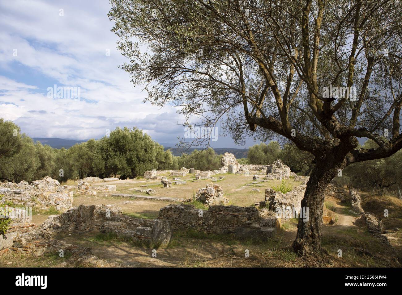Sparta, ancient ruins, archaeological site, Laconia, Peloponnese ...