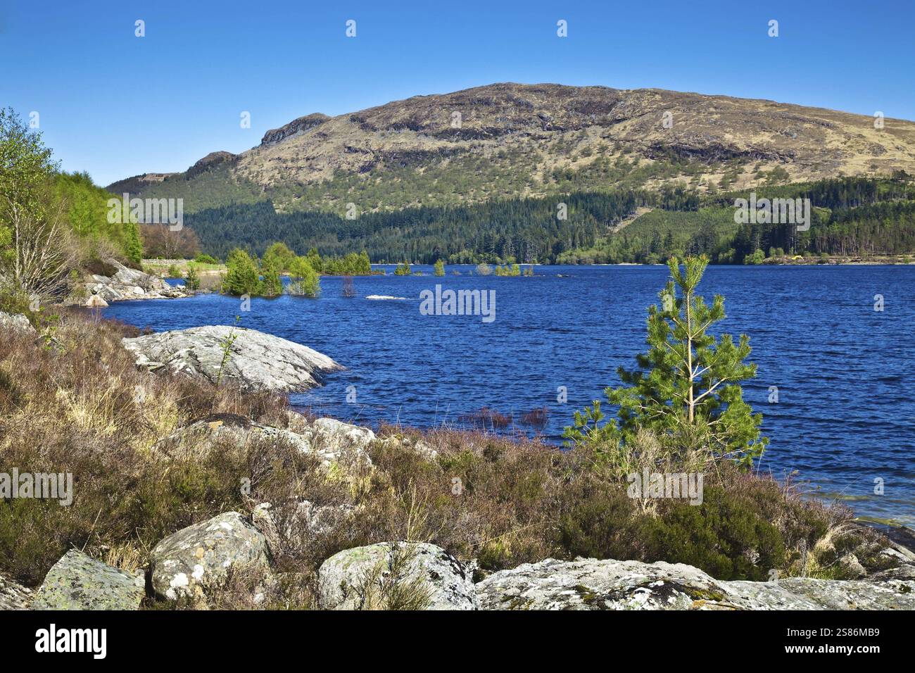 A photography of a typical scottish landscape Stock Photo - Alamy