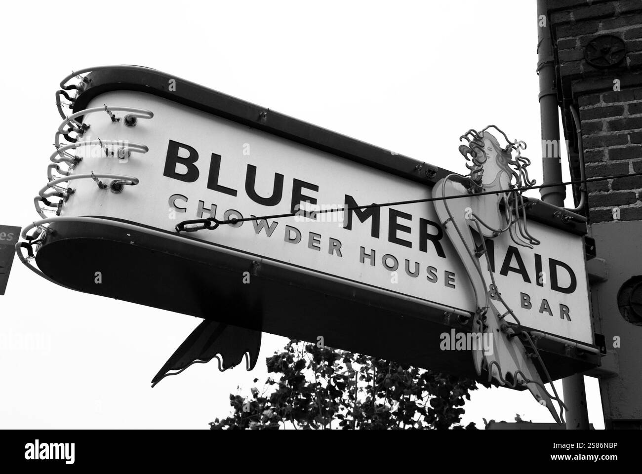 Blue Mermaid Chowder House sign at Fisherman's Wharf, San Francisco ...
